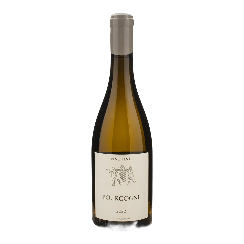 Benoît Ente, Bourgogne Blanc 2022 | Bourgogne AOC | Vinodoo Vini Pregiati