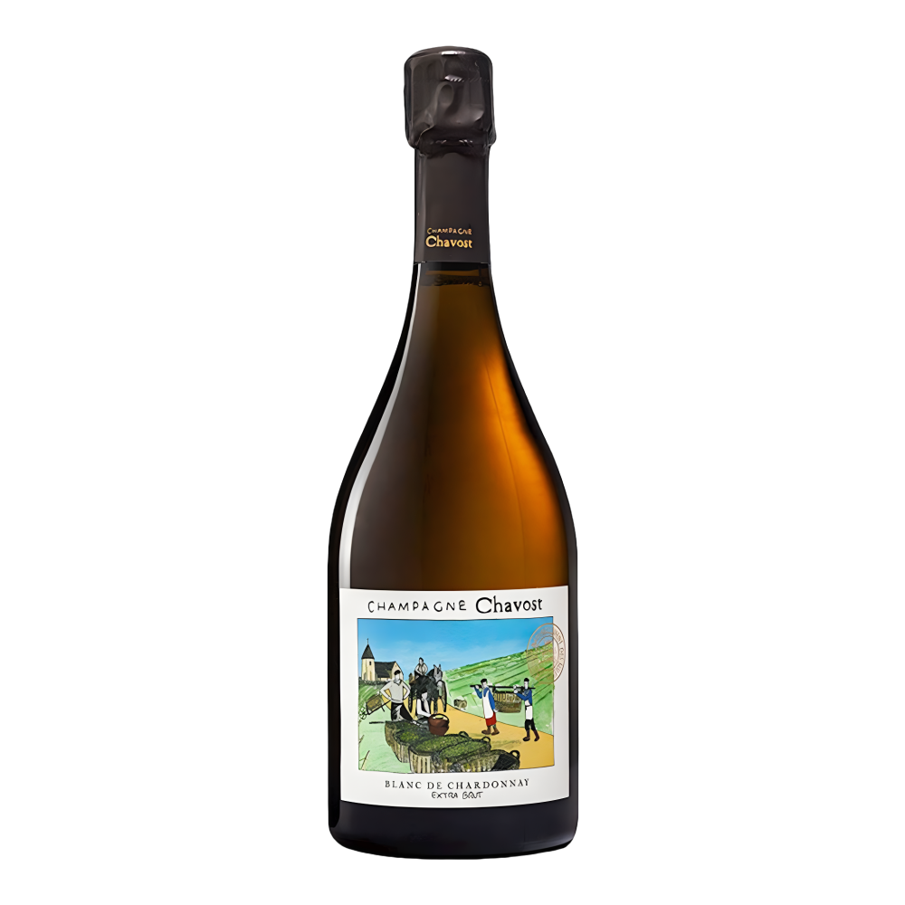 Chavost, Blanc d'Assemblage Brut nature | Champagne AOC | Vinodoo Vini ...
